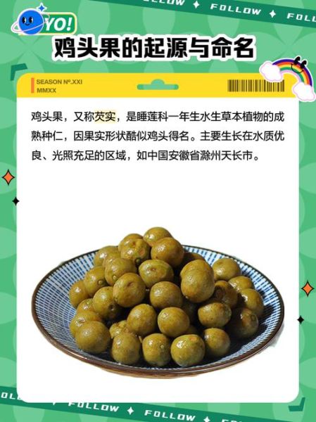 鸡头果多少钱一斤_鸡头果价格行情-第1张图片-山城妙识 鸡头果多少钱一斤_鸡头果价格行情-第1张图片-山城妙识