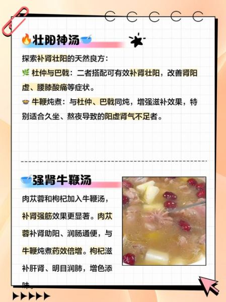 牛鞭汤有什么功效_牛鞭汤适合什么人喝-第1张图片-山城妙识