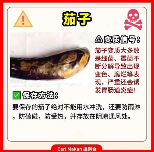 食品健康小常识_如何辨别变质食品-第2张图片-山城妙识