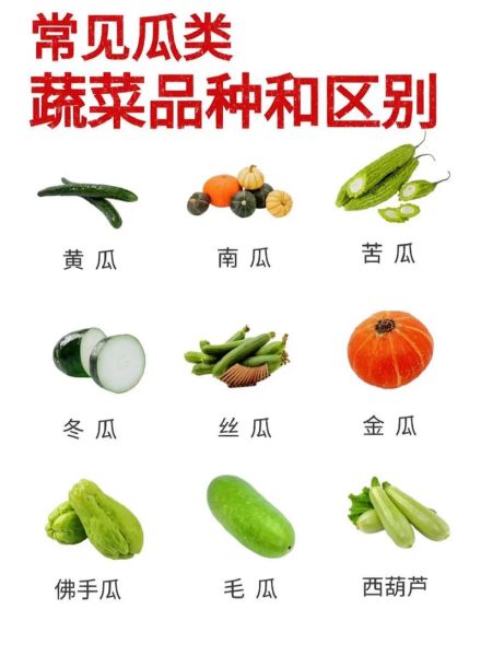 100种蔬菜图片大全名称_哪些蔬菜适合新手种植-第2张图片-山城妙识 100种蔬菜图片大全名称_哪些蔬菜适合新手种植-第2张图片-山城妙识