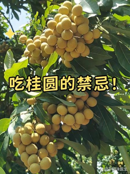 哪些人不能吃桂圆_桂圆禁忌人群-第3张图片-山城妙识