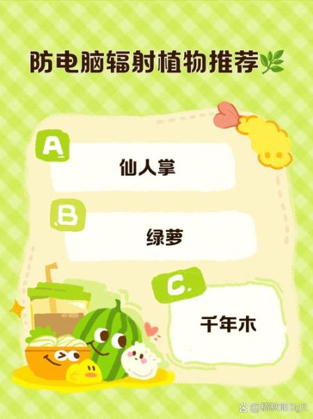 什么植物防辐射最好_防辐射植物排名-第3张图片-山城妙识