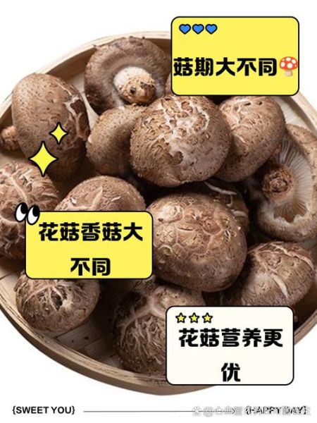 花菇跟香菇的功效一样吗_花菇和香菇营养价值区别-第2张图片-山城妙识