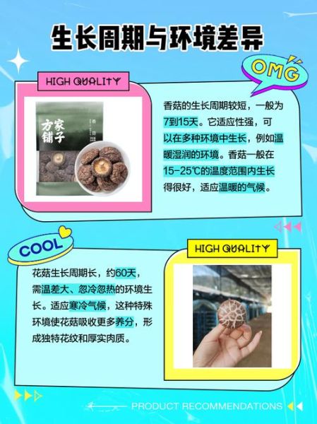 花菇跟香菇的功效一样吗_花菇和香菇营养价值区别-第3张图片-山城妙识