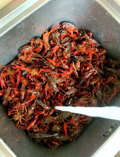 蒜香小龙虾怎么做_蒜香小龙虾最正宗的做法-第2张图片-山城妙识