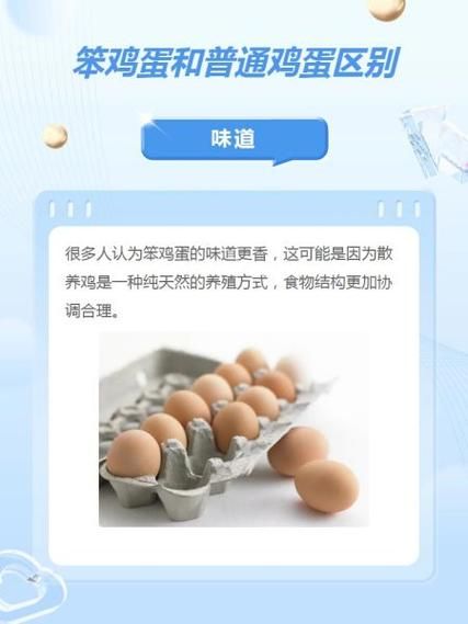 笨鸡蛋和普通鸡蛋有什么区别_营养价值谁更高-第2张图片-山城妙识