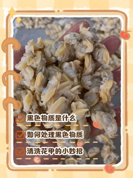 孕妇能吃花甲吗_花甲对孕妇安全吗-第1张图片-山城妙识 孕妇能吃花甲吗_花甲对孕妇安全吗-第1张图片-山城妙识