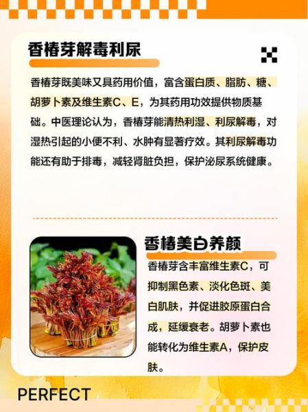 香椿芽的营养价值_香椿芽怎么吃最营养-第1张图片-山城妙识 香椿芽的营养价值_香椿芽怎么吃最营养-第1张图片-山城妙识