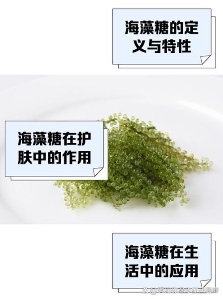 海藻糖是什么糖_海藻糖与普通糖区别-第1张图片-山城妙识 海藻糖是什么糖_海藻糖与普通糖区别-第1张图片-山城妙识