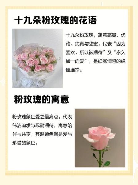 粉玫瑰花语是什么_粉玫瑰送几朵合适-第2张图片-山城妙识 粉玫瑰花语是什么_粉玫瑰送几朵合适-第2张图片-山城妙识