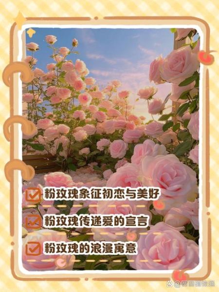 粉玫瑰花语是什么_粉玫瑰送几朵合适-第3张图片-山城妙识 粉玫瑰花语是什么_粉玫瑰送几朵合适-第3张图片-山城妙识