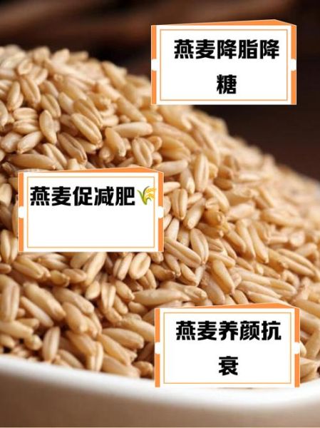 燕麦的功效与作用及禁忌是什么_哪些人不能吃-第1张图片-山城妙识 燕麦的功效与作用及禁忌是什么_哪些人不能吃-第1张图片-山城妙识