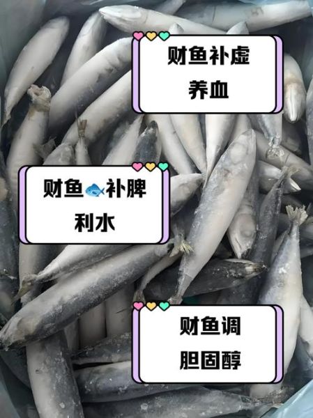 财鱼多少钱一斤_财鱼价格行情-第2张图片-山城妙识