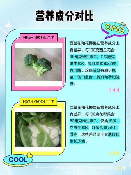绿花椰菜是西兰花吗_西兰花与绿花椰菜区别-第2张图片-山城妙识