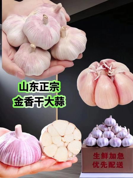 山东金乡大蒜最新价格_今日大蒜多少钱一斤-第3张图片-山城妙识