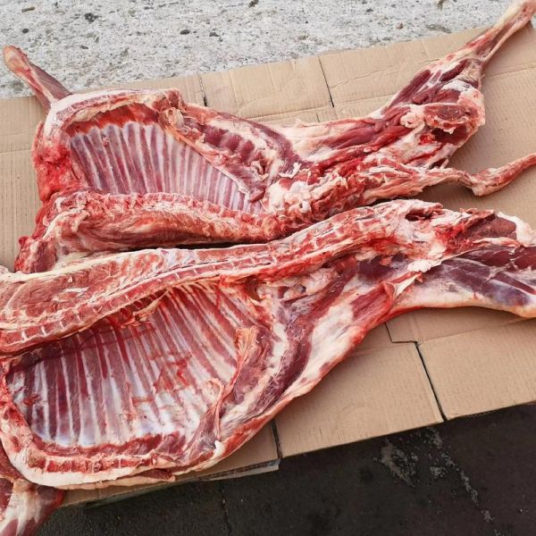 羊排价格多少钱一斤_羊排为什么涨价-第1张图片-山城妙识 羊排价格多少钱一斤_羊排为什么涨价-第1张图片-山城妙识