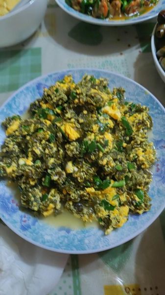 地皮菜炒鸡蛋怎么做_地皮菜炒鸡蛋需要焯水吗-第3张图片-山城妙识 地皮菜炒鸡蛋怎么做_地皮菜炒鸡蛋需要焯水吗-第3张图片-山城妙识