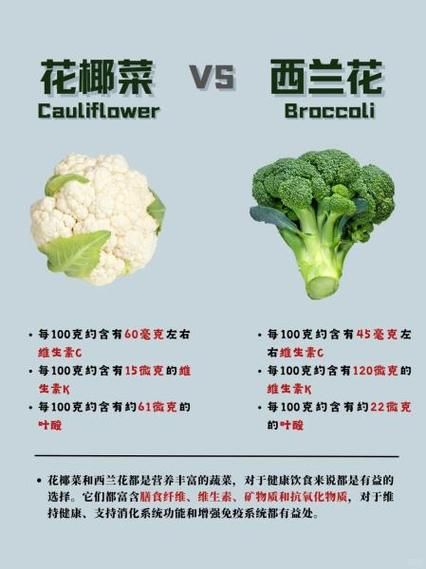 绿花椰菜是西兰花吗_西兰花与绿花椰菜区别-第3张图片-山城妙识