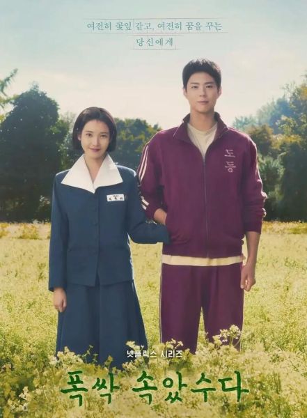 请回答1998剧情介绍_请回答1998结局是什么-第1张图片-山城妙识