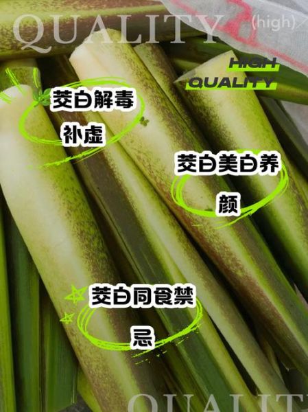 茭白的功效与作用_茭白禁忌人群-第1张图片-山城妙识 茭白的功效与作用_茭白禁忌人群-第1张图片-山城妙识
