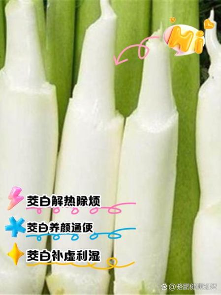 茭白的功效与作用_茭白禁忌人群-第3张图片-山城妙识 茭白的功效与作用_茭白禁忌人群-第3张图片-山城妙识