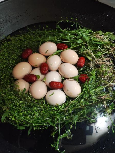 荠菜煮鸡蛋什么时候吃最好_荠菜煮鸡蛋的功效与禁忌-第1张图片-山城妙识