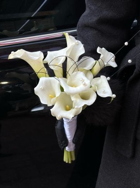 进口马蹄莲怎么养_进口马蹄莲多久开花-第1张图片-山城妙识 进口马蹄莲怎么养_进口马蹄莲多久开花-第1张图片-山城妙识