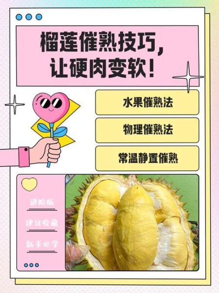 榴莲肉硬怎么办_如何变软-第1张图片-山城妙识 榴莲肉硬怎么办_如何变软-第1张图片-山城妙识