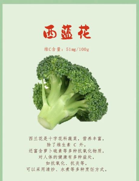 吃西兰花的禁忌有哪些_西兰花不能和什么一起吃-第3张图片-山城妙识 吃西兰花的禁忌有哪些_西兰花不能和什么一起吃-第3张图片-山城妙识