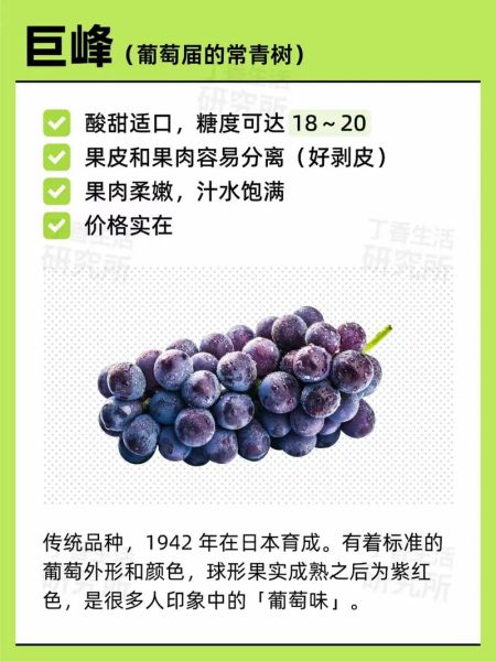 葡萄有几种品种图片_常见葡萄品种名称大全-第3张图片-山城妙识