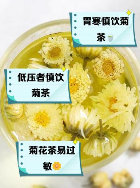 菊花茶对子宫好吗_经期可以喝菊花茶吗-第1张图片-山城妙识