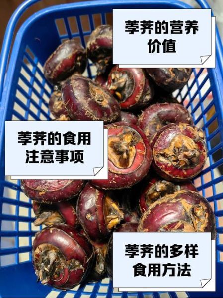 马蹄荸荠怎么吃_马蹄荸荠的做法大全-第2张图片-山城妙识