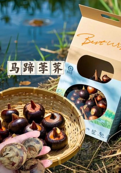 马蹄荸荠怎么吃_马蹄荸荠的做法大全-第3张图片-山城妙识