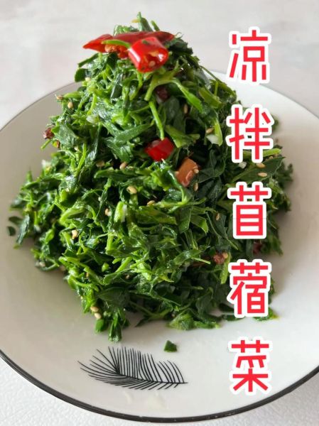 苜蓿菜怎么做好吃_苜蓿的家常做法大全-第1张图片-山城妙识