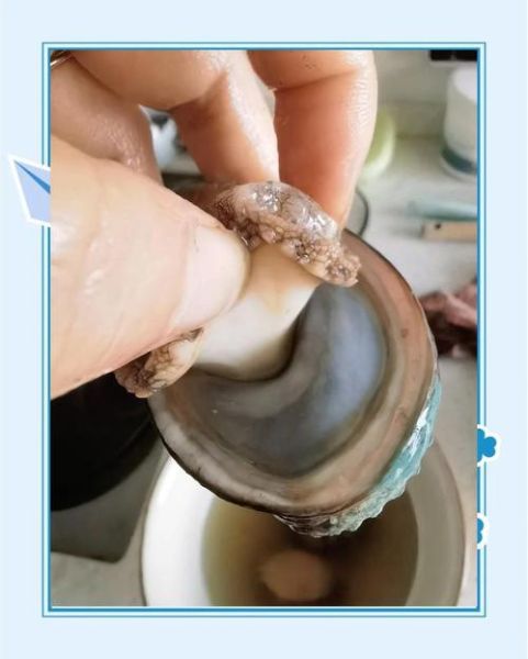 鲍鱼怎么清洗_鲍鱼清洗步骤图解-第3张图片-山城妙识