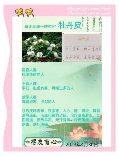 牡丹皮的功效与作用_牡丹皮能降血糖吗-第2张图片-山城妙识