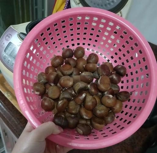 板栗怎么用电饭锅煮_电饭锅版板栗做法大全-第1张图片-山城妙识