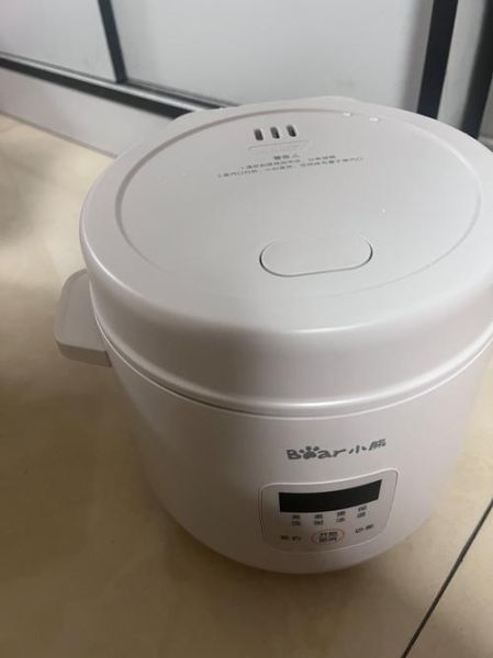 什么牌子的电饭煲煮饭最好吃_电饭煲推荐-第1张图片-山城妙识