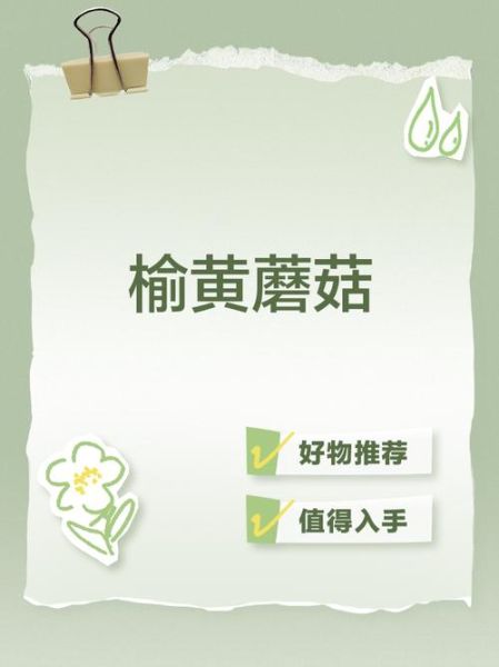 榆黄蘑高效栽培技术_如何提升产量与品质-第3张图片-山城妙识