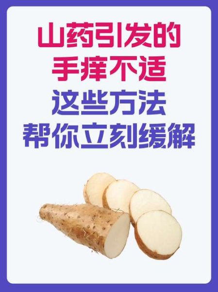 山药为什么会手痒_怎么快速止痒-第3张图片-山城妙识 山药为什么会手痒_怎么快速止痒-第3张图片-山城妙识