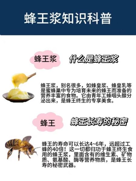 蜂王浆的作用与功效_蜂王浆的禁忌人群有哪些-第2张图片-山城妙识