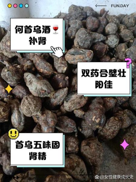 补肾壮阳吃什么中药最好_哪些药材泡酒最有效-第1张图片-山城妙识