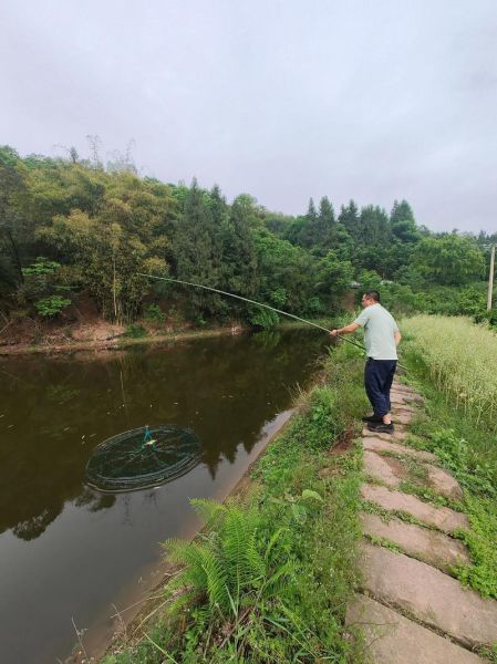 香辣小河虾怎么做_香辣小河虾的做法步骤-第3张图片-山城妙识