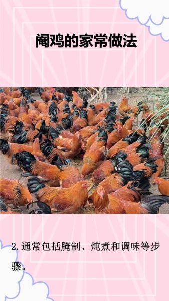 阉鸡和没阉的鸡有什么区别_阉鸡和公鸡哪个好吃-第1张图片-山城妙识 阉鸡和没阉的鸡有什么区别_阉鸡和公鸡哪个好吃-第1张图片-山城妙识