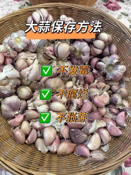 蒜苗怎么保存_蒜苗怎么处理-第1张图片-山城妙识