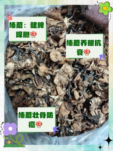 干榛蘑的营养价值_干榛蘑的功效与作用-第3张图片-山城妙识