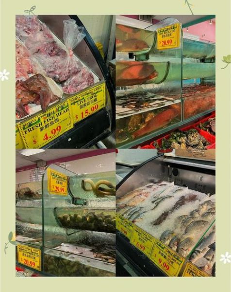 田鸡多少钱一斤_田鸡价格受哪些因素影响-第3张图片-山城妙识