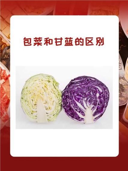 青甘蓝和包菜哪个好吃_口感区别大吗-第1张图片-山城妙识