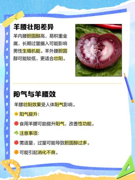 羊肾的功效与作用_羊肾怎么吃最补肾-第3张图片-山城妙识 羊肾的功效与作用_羊肾怎么吃最补肾-第3张图片-山城妙识