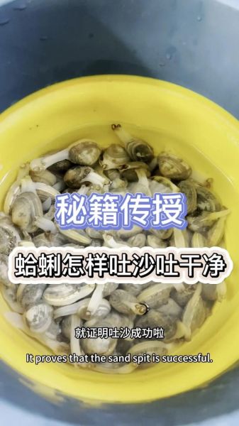 白蛤怎么吐沙子最快_白蛤吐沙子最快的方法-第1张图片-山城妙识